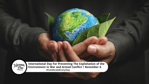 November - National Day Calendar