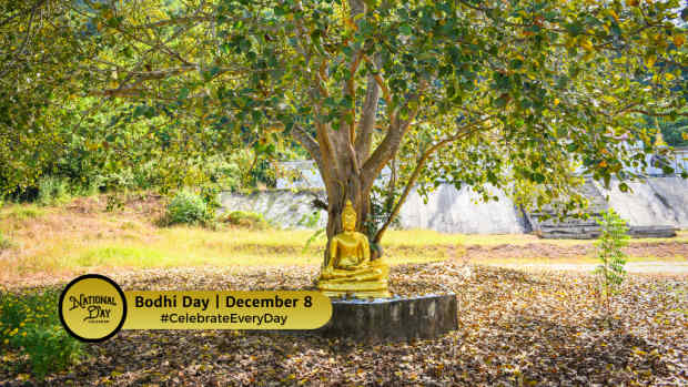 December - National Day Calendar