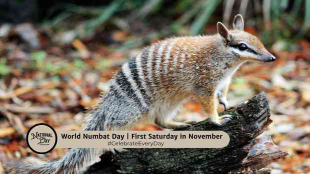 November - National Day Calendar