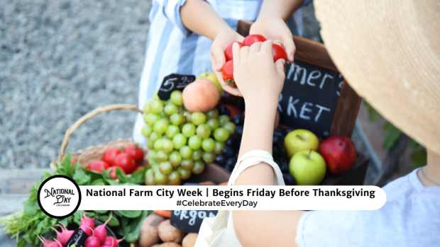 November Weeks - National Day Calendar