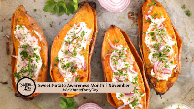 November Month - National Day Calendar