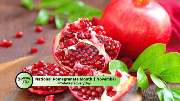 November Month - National Day Calendar