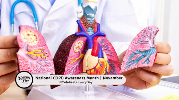 November Month - National Day Calendar