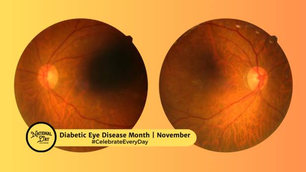 November Month - National Day Calendar