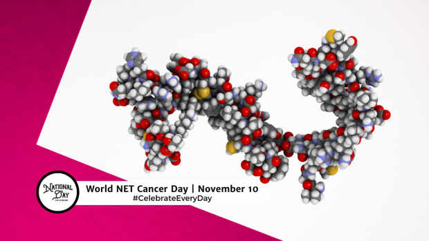 November - National Day Calendar