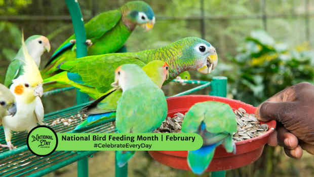 February Month - National Day Calendar