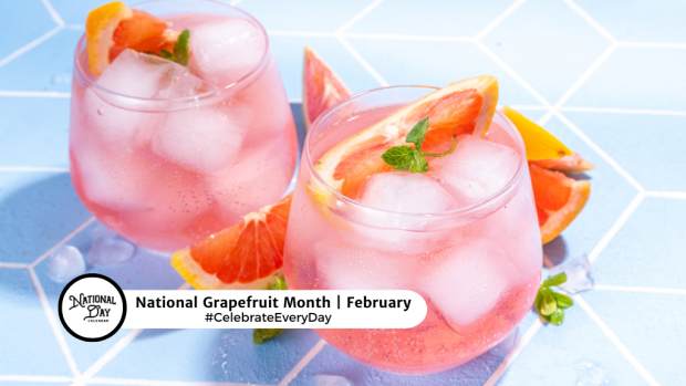February Month - National Day Calendar