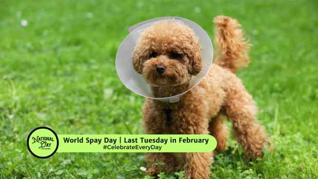 February - National Day Calendar