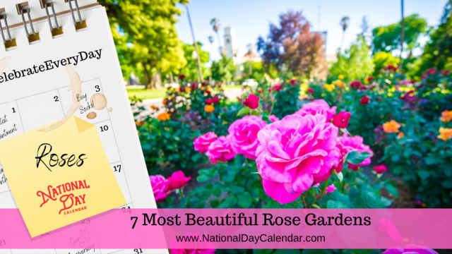 NATIONAL RED ROSE DAY | June 12 - National Day Calendar