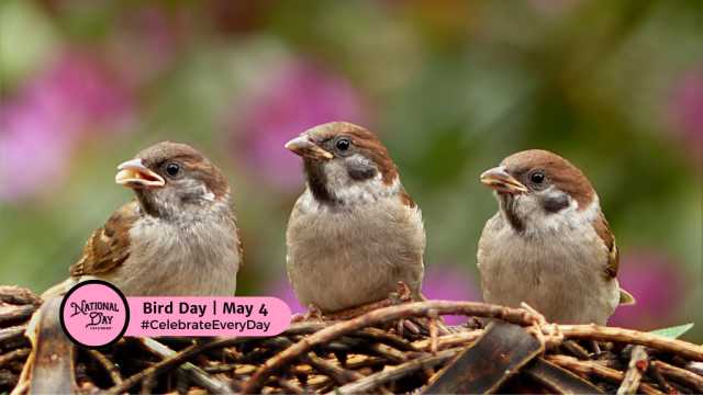 NATIONAL PRAIRIE DAY | First Saturday in June - National Day Calendar