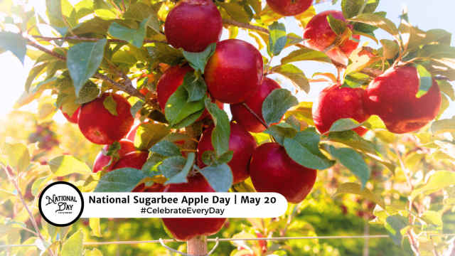NATIONAL APPLE DAY | October 21 - National Day Calendar