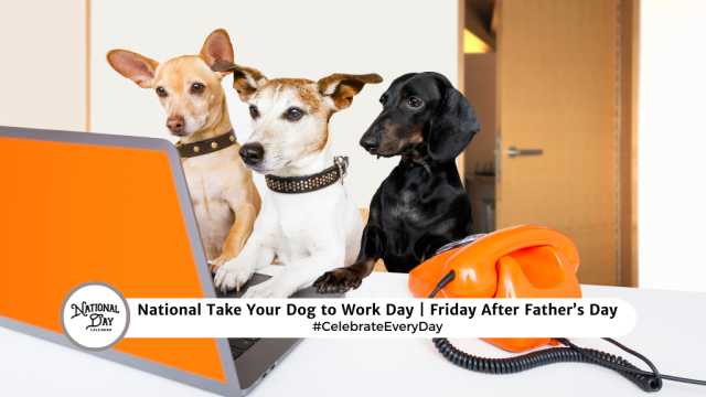 NATIONAL WORK LIKE A DOG DAY | August 5 - National Day Calendar