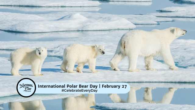 NATIONAL POLAR BEAR DAY - February 27 - National Day Calendar