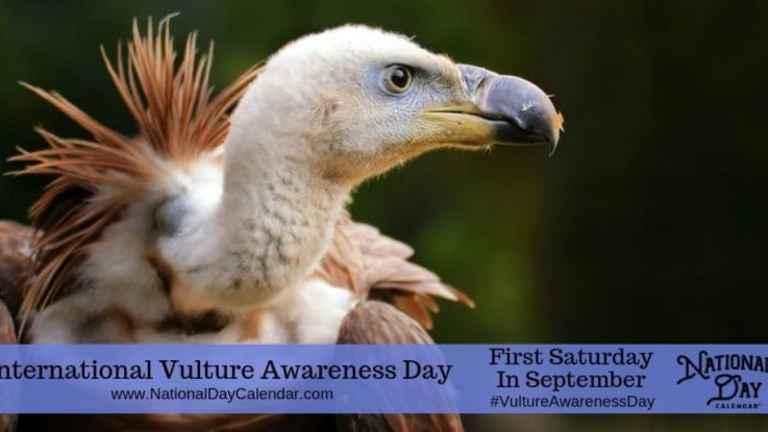 INTERNATIONAL VULTURE AWARENESS DAY - First Saturday in September ...