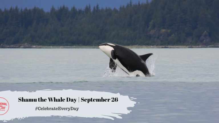 NATIONAL SHAMU THE WHALE DAY | September 26 - National Day Calendar