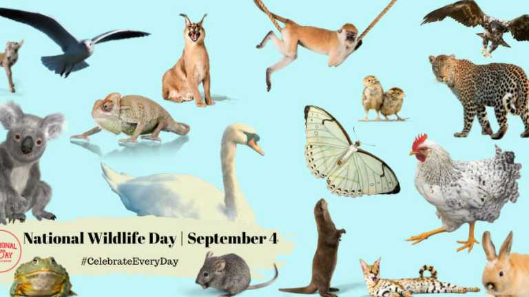 NATIONAL WILDLIFE DAY - September 4 - National Day Calendar