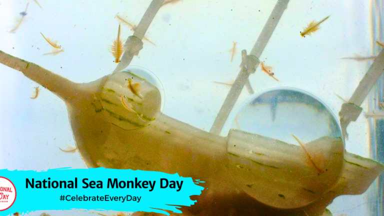 NATIONAL SEA MONKEY DAY - May 16 - National Day Calendar