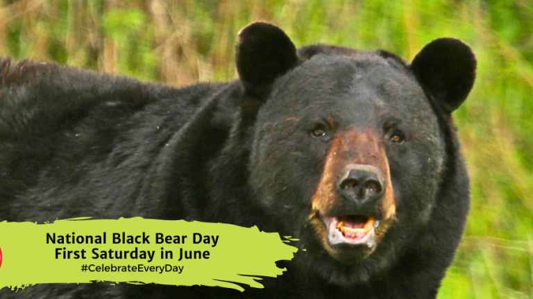 NATIONAL BLACK BEAR DAY | June 1 - National Day Calendar