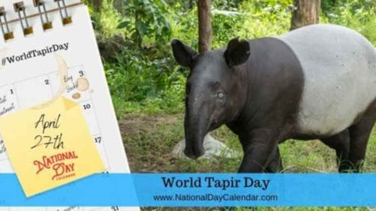 WORLD TAPIR DAY - April 27 - National Day Calendar