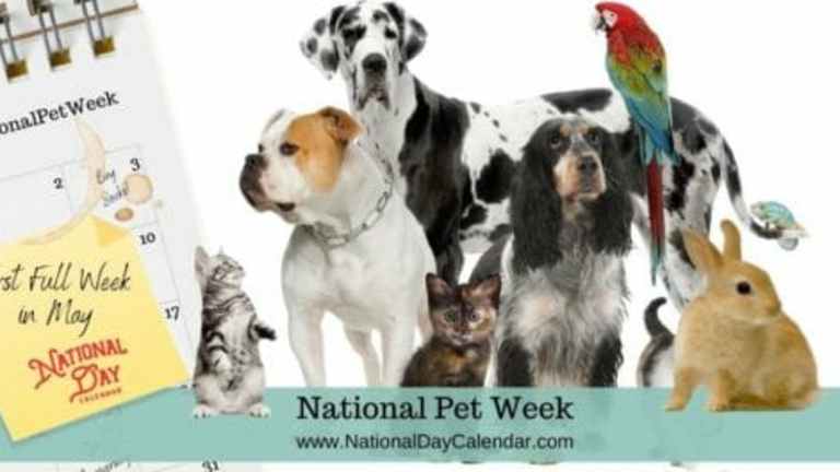 NATIONAL PET WEEK - First Sunday through Saturday in May - National Day ...