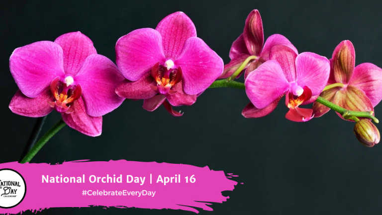 NATIONAL ORCHID DAY - April 16 - National Day Calendar