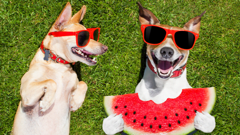 NATIONAL HUMOR MONTH - April - National Day Calendar