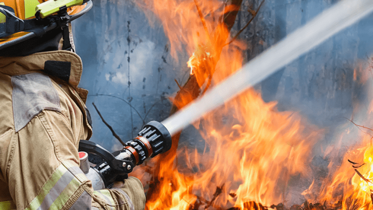 NATIONAL WILDFIRE AWARENESS MONTH - May - National Day Calendar