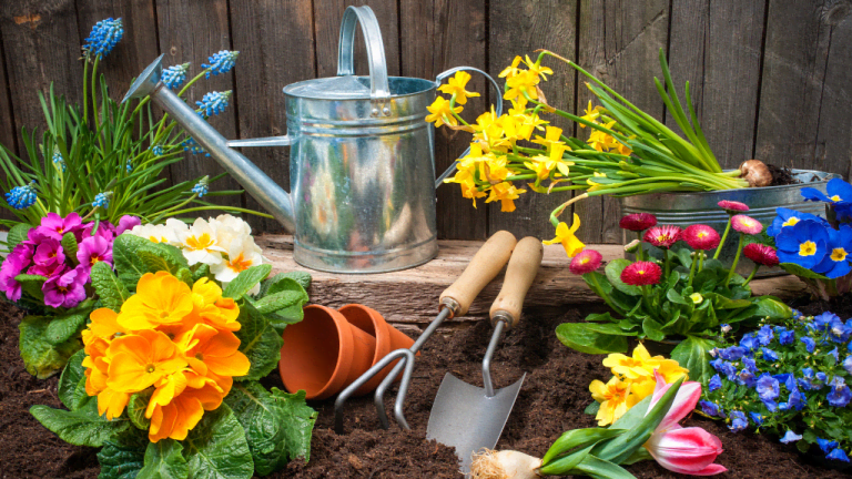NATIONAL GARDENING WEEK | First Full Week of June - National Day Calendar
