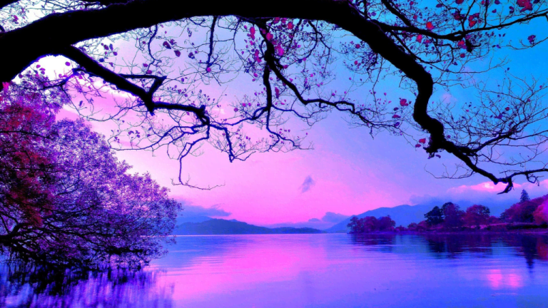 DAY FOR THE ELIMINATION OF SEXUAL VIOLENCE | June 19 - National Day ...