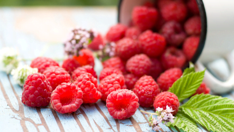 NATIONAL RASPBERRY DAY | July 8 - National Day Calendar