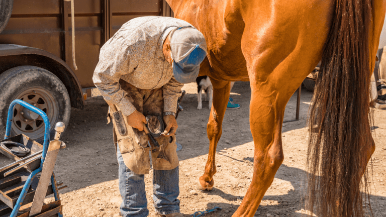 NATIONAL FARRIERS WEEK | Second Week in July - National Day Calendar