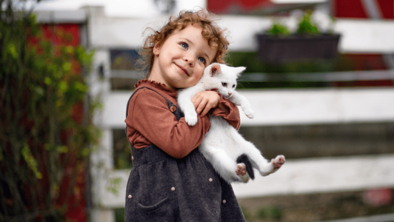 NATIONAL HUG YOUR CAT DAY | June 4 - National Day Calendar