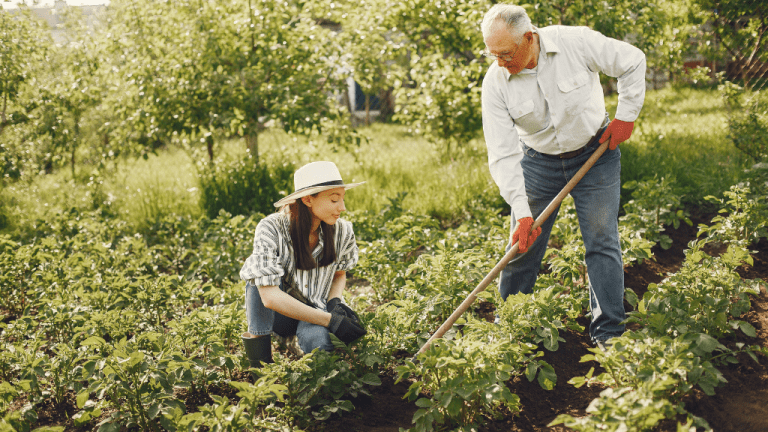 NATIONAL GARDENING EXERCISE DAY | June 6 - National Day Calendar
