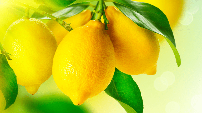 NATIONAL LEMON DAY | July 23 - National Day Calendar