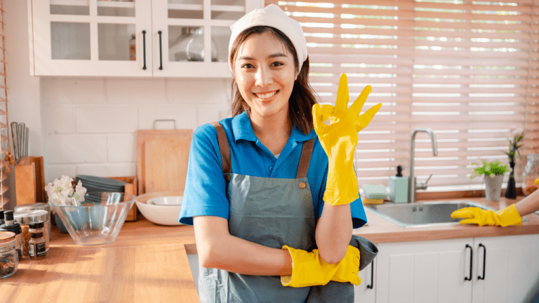 NATIONAL PROFESSIONAL HOUSE CLEANERS DAY | September 17 - National Day ...