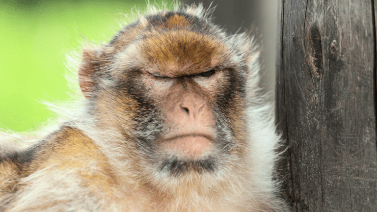 SOUREST DAY | October 25 - National Day Calendar