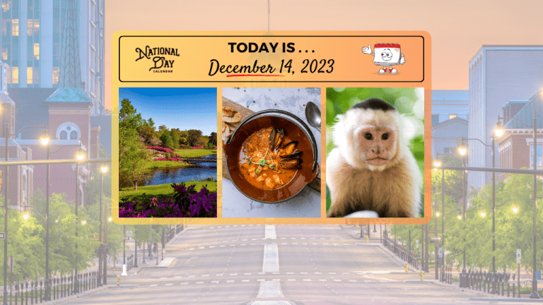 DECEMBER 14, 2023 | MONKEY DAY | NATIONAL BOUILLABAISSE DAY | NATIONAL ...