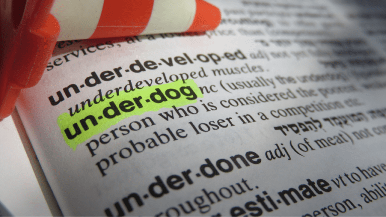 NATIONAL UNDERDOG DAY - Third Friday in December - National Day Calendar