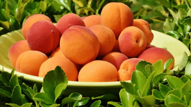 NATIONAL APRICOT DAY - January 9 - National Day Calendar