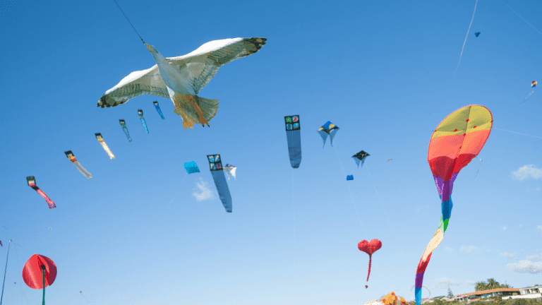 NATIONAL KITE FLYING DAY - February 8 - National Day Calendar