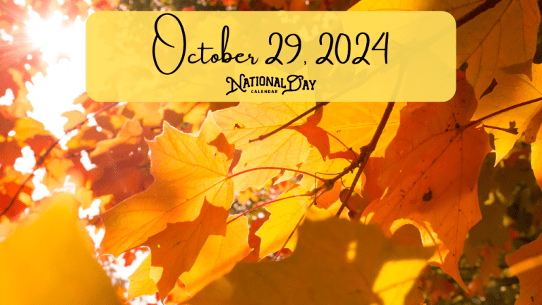 OCTOBER 29, 2024 | NATIONAL CAT DAY | NATIONAL HERMIT DAY | NATIONAL ...