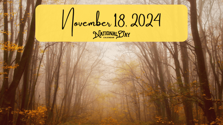 NOVEMBER 18, 2024 | MICKEY MOUSE BIRTHDAY | NATIONAL PRINCESS DAY ...