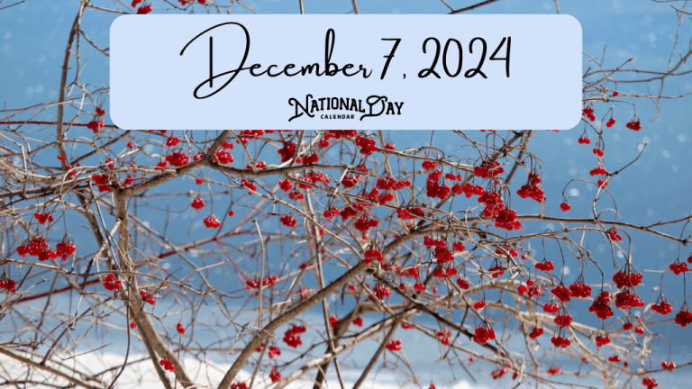 DECEMBER 7, 2024 | NATIONAL PEARL HARBOR REMEMBRANCE DAY | NATIONAL ...