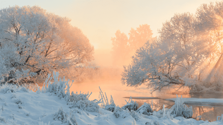 HALCYON DAYS | 7 days before and 7 days after the Winter Solstice ...