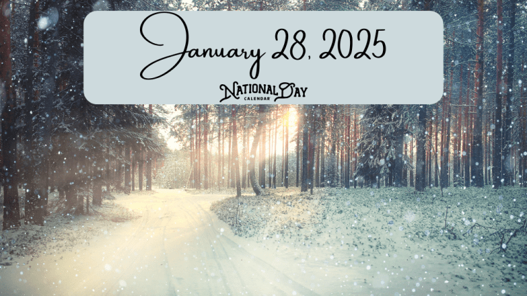 JANUARY 28, 2025 | NATIONAL BLUEBERRY PANCAKE DAY | NATIONAL GIFT OF ...
