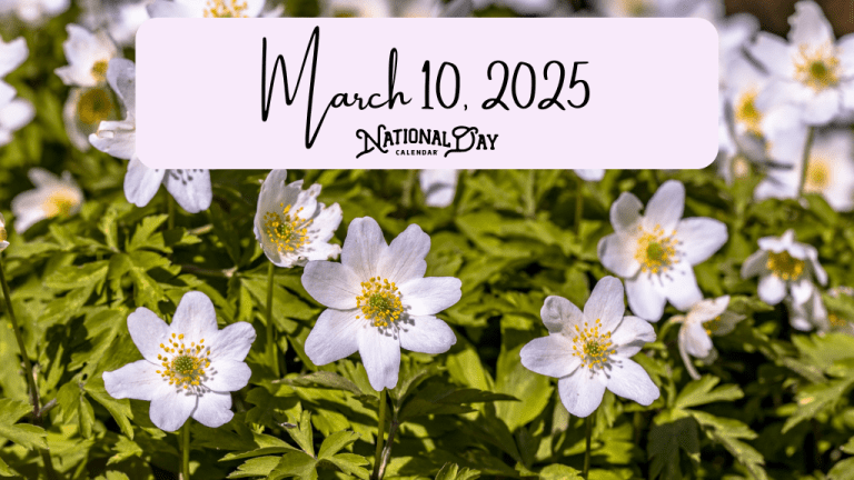 MARCH 10, 2025 | NATIONAL MARIO DAY | NATIONAL NAPPING DAY | NATIONAL ...