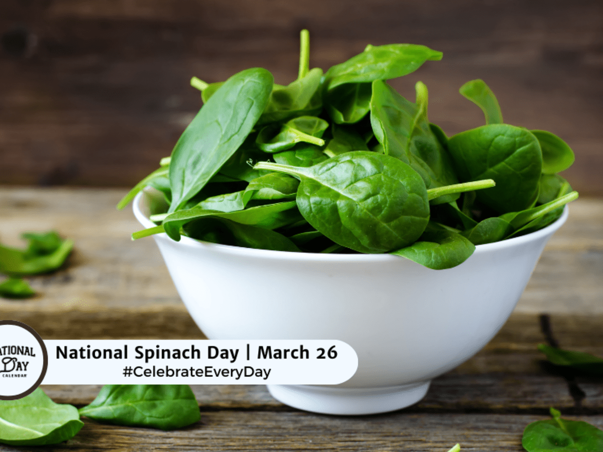 The Bee Hive -- March 2025 Edition - Page 84 - Blogs & Forums