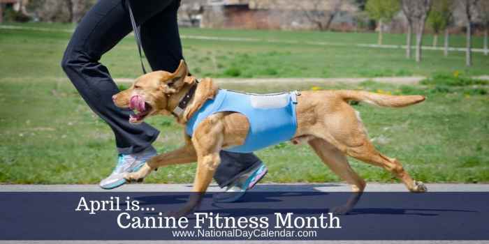NEW MONTH PROCLAMATION: CANINE FITNESS MONTH - April - National Day ...