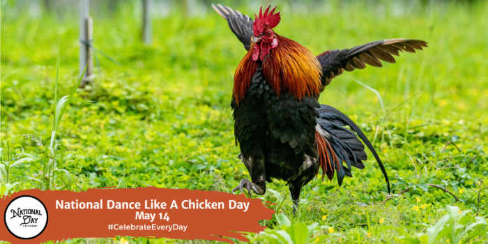 MAY 14, 2023 | MOTHER'S DAY | NATIONAL DANCE LIKE A CHICKEN DAY ...