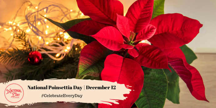 DECEMBER 12, 2022 | NATIONAL DING-A-LING DAY | GINGERBREAD HOUSE DAY ...